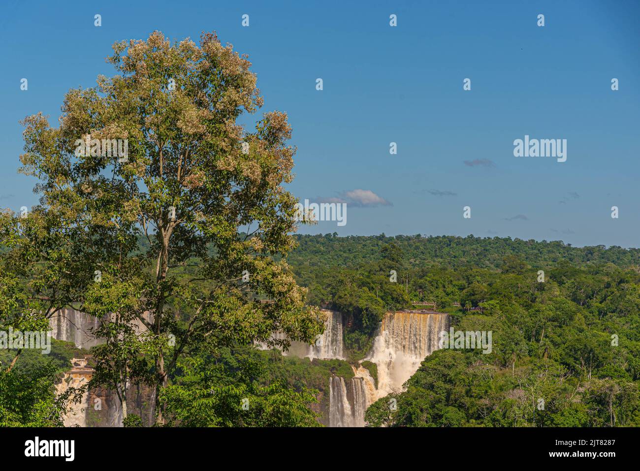 Iguaçu River National Park in Brazil. View of the Iguazu Falls on the ...