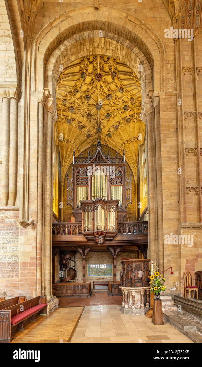 Organ and vaulted ceiling in the North Transept inside Sherborne Abbey, Dorset, UK on 28 August ...
