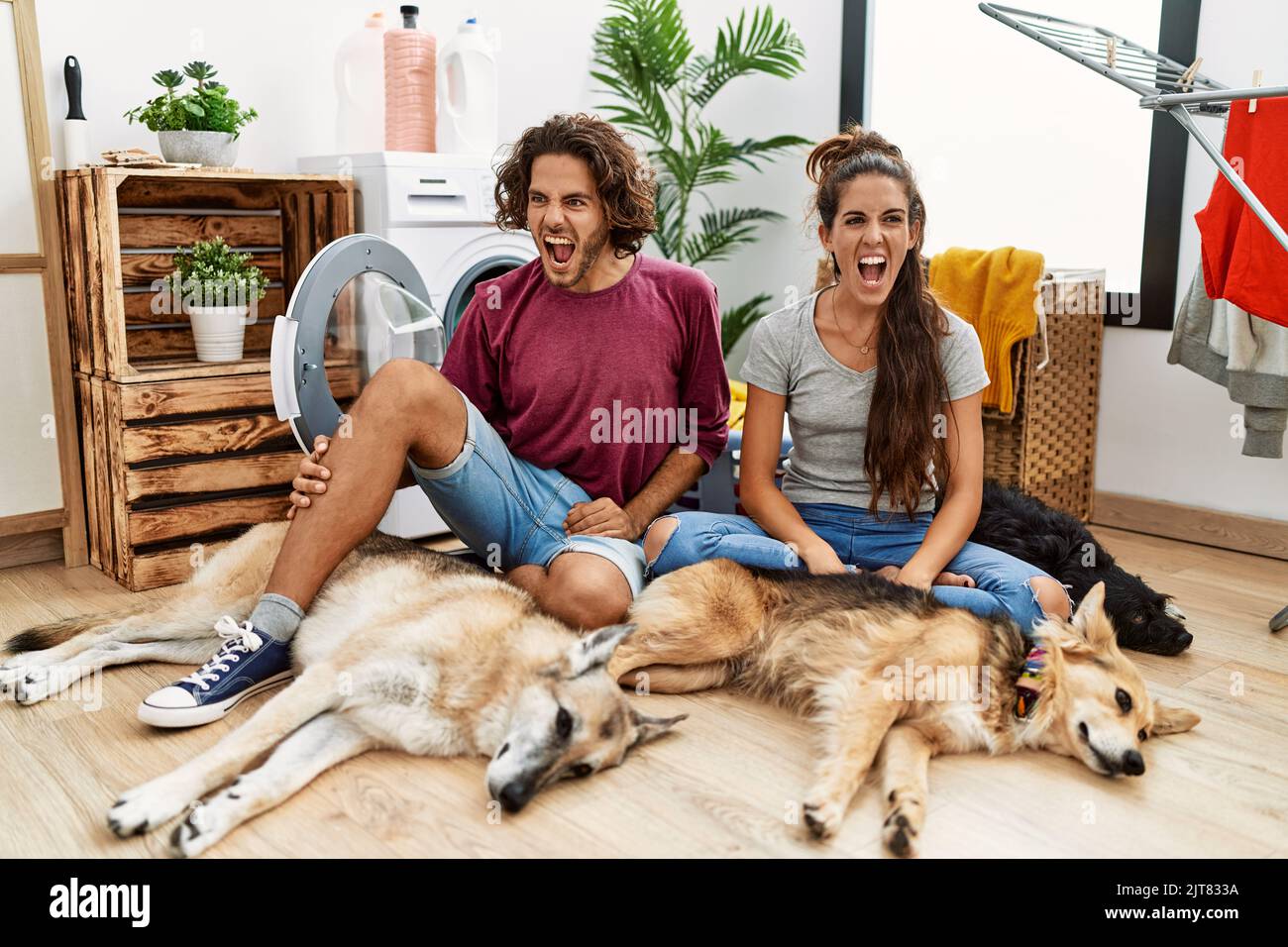 Young hispanic couple doing laundry with dogs angry and mad screaming ...