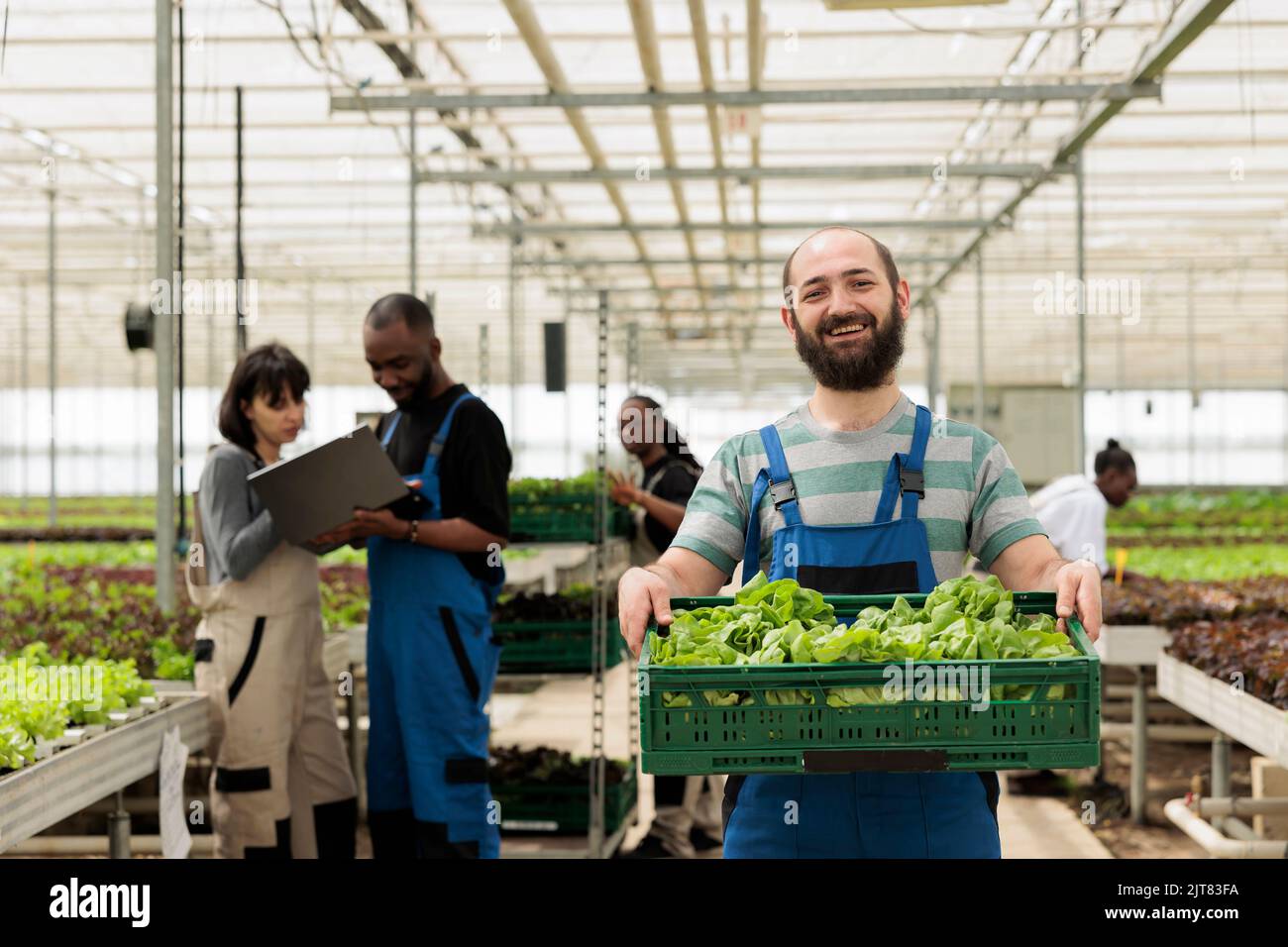 Portrait of caucasian man working in greenhouse holding crate with ...