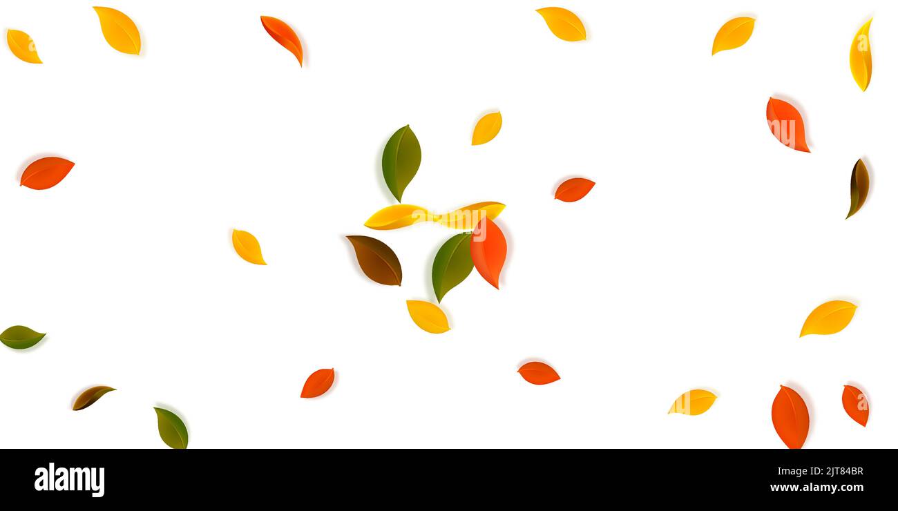 Falling autumn leaves. Red, yellow, green, brown neat leaves flying. Explosion colorful foliage ...