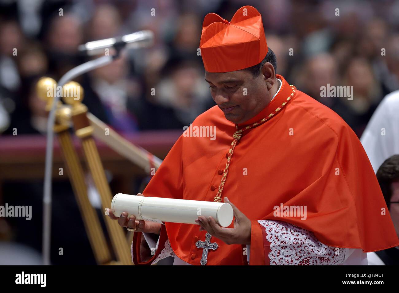 Cardina anthony poola hi-res stock photography and images - Alamy