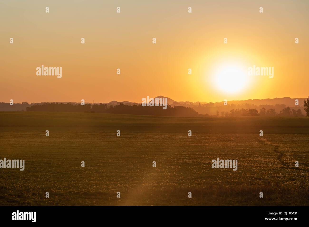 Landscapes of the pampa biome at sunset. Late afternoon in the field ...