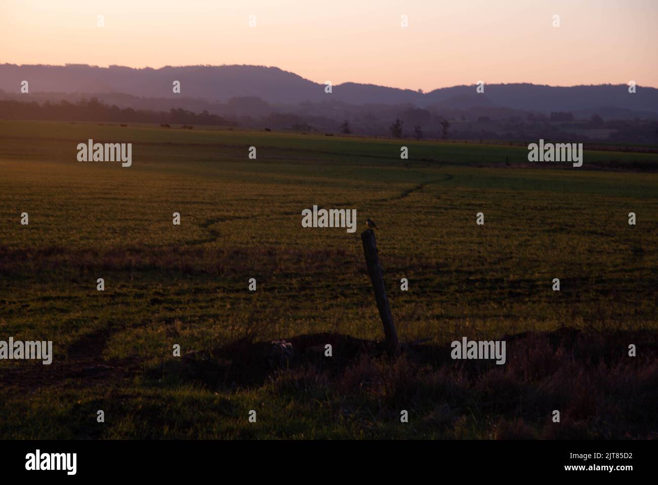 Landscapes of the pampa biome at sunset. Late afternoon in the field ...