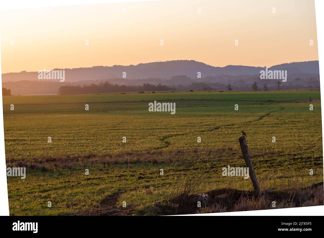 Landscapes of the pampa biome at sunset. Late afternoon in the field ...