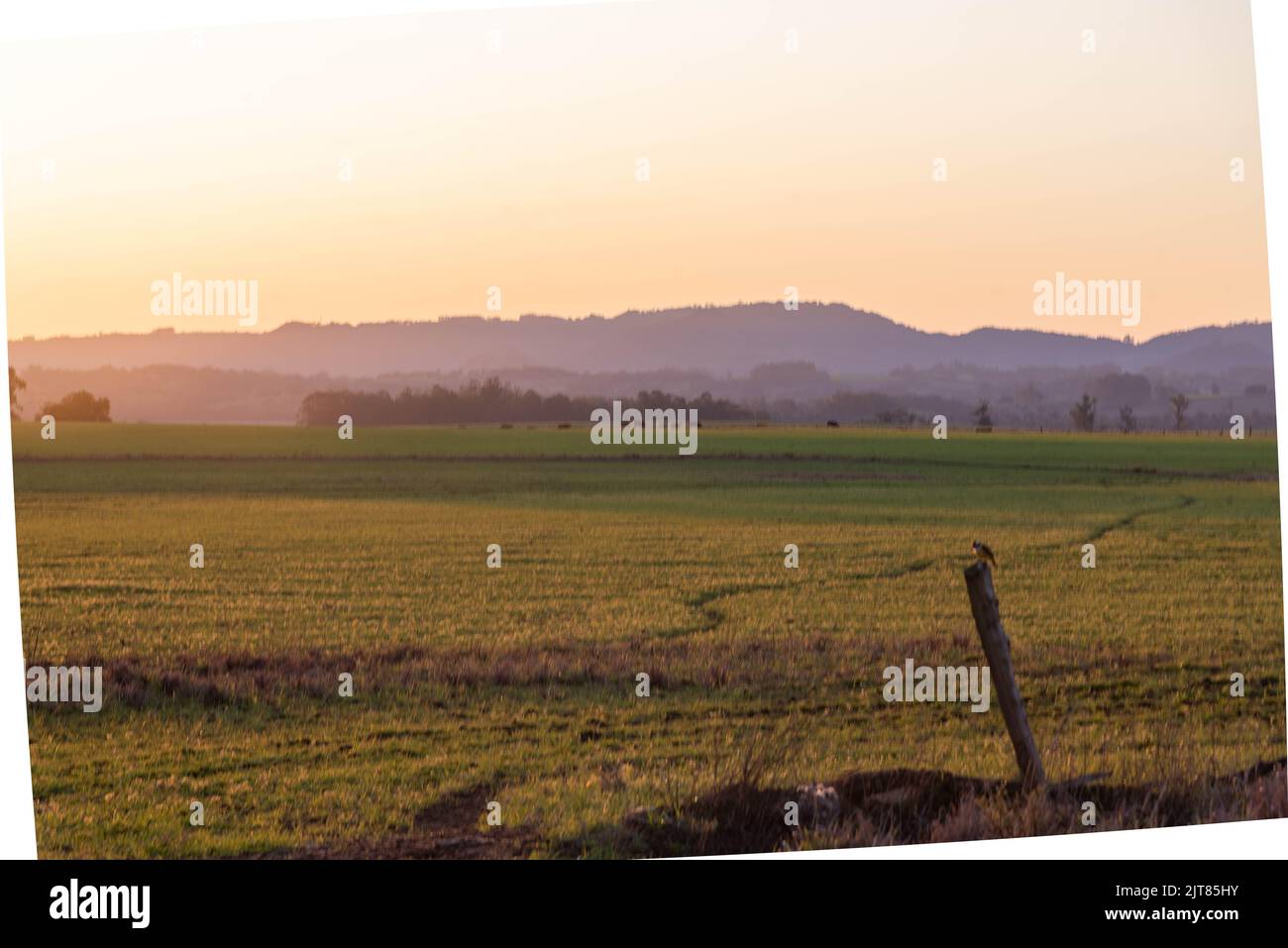 Landscapes of the pampa biome at sunset. Late afternoon in the field ...