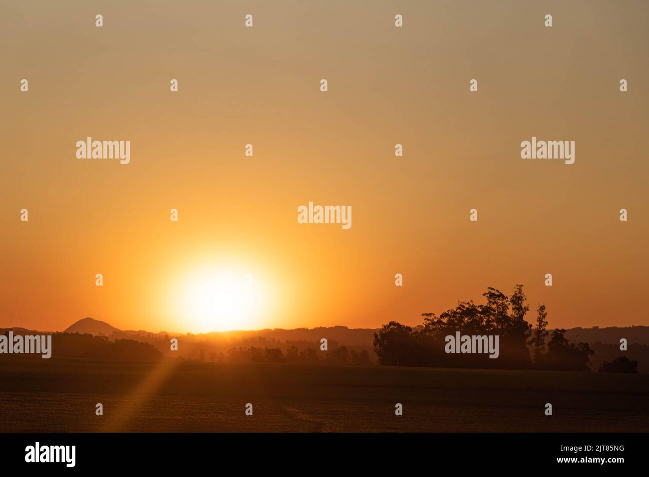 Landscapes of the pampa biome at sunset. Late afternoon in the field ...