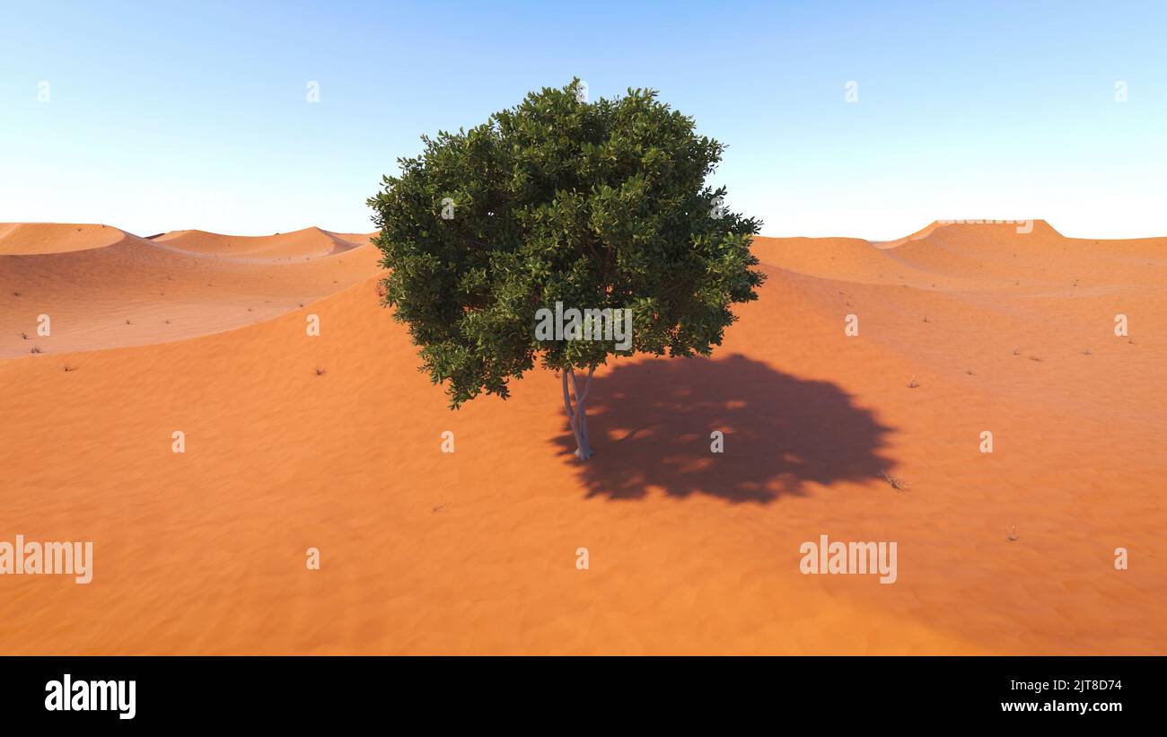 A beautiful view of a green tree standing in the middle of a desert ...