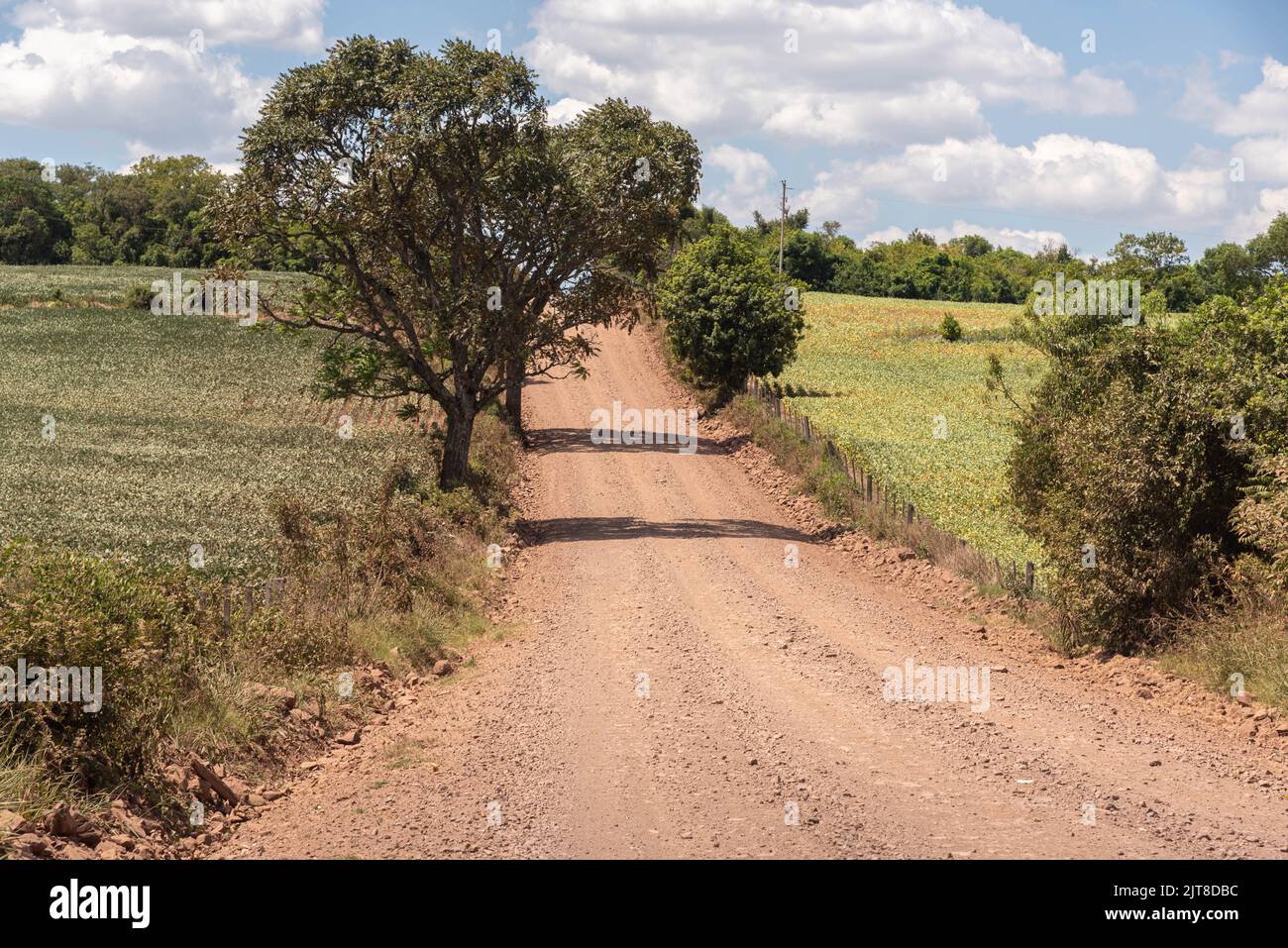 Farming region southern brazil hi-res stock photography and images - Alamy