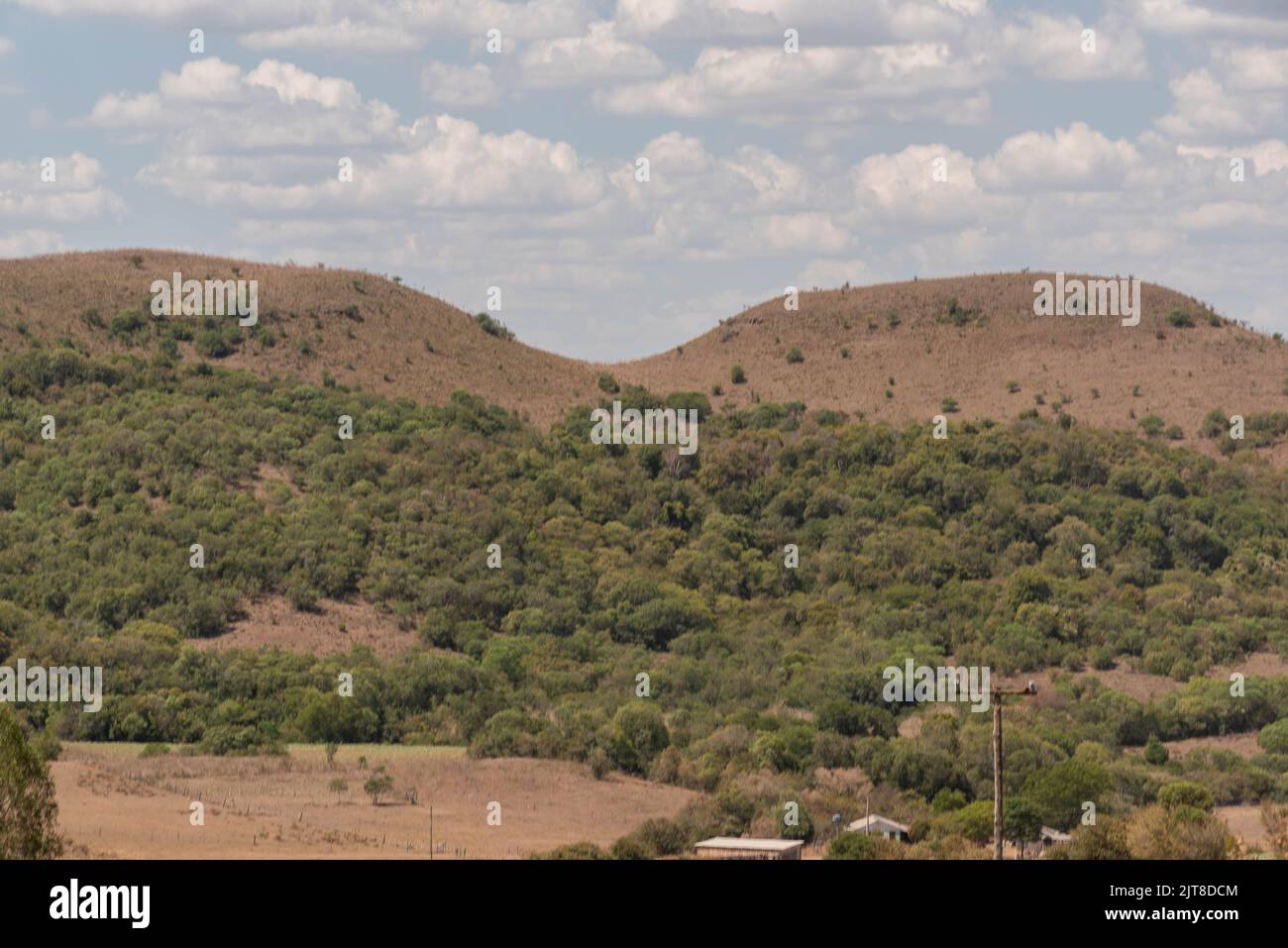 Rural landscape pampa biome in southern Brazil. area of environmental ...