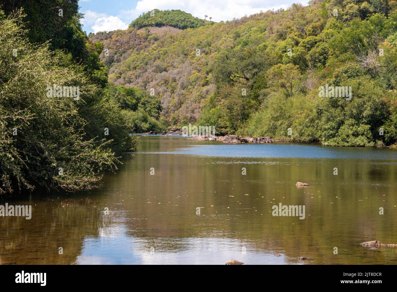 Rural landscape pampa biome in southern Brazil. area of environmental ...