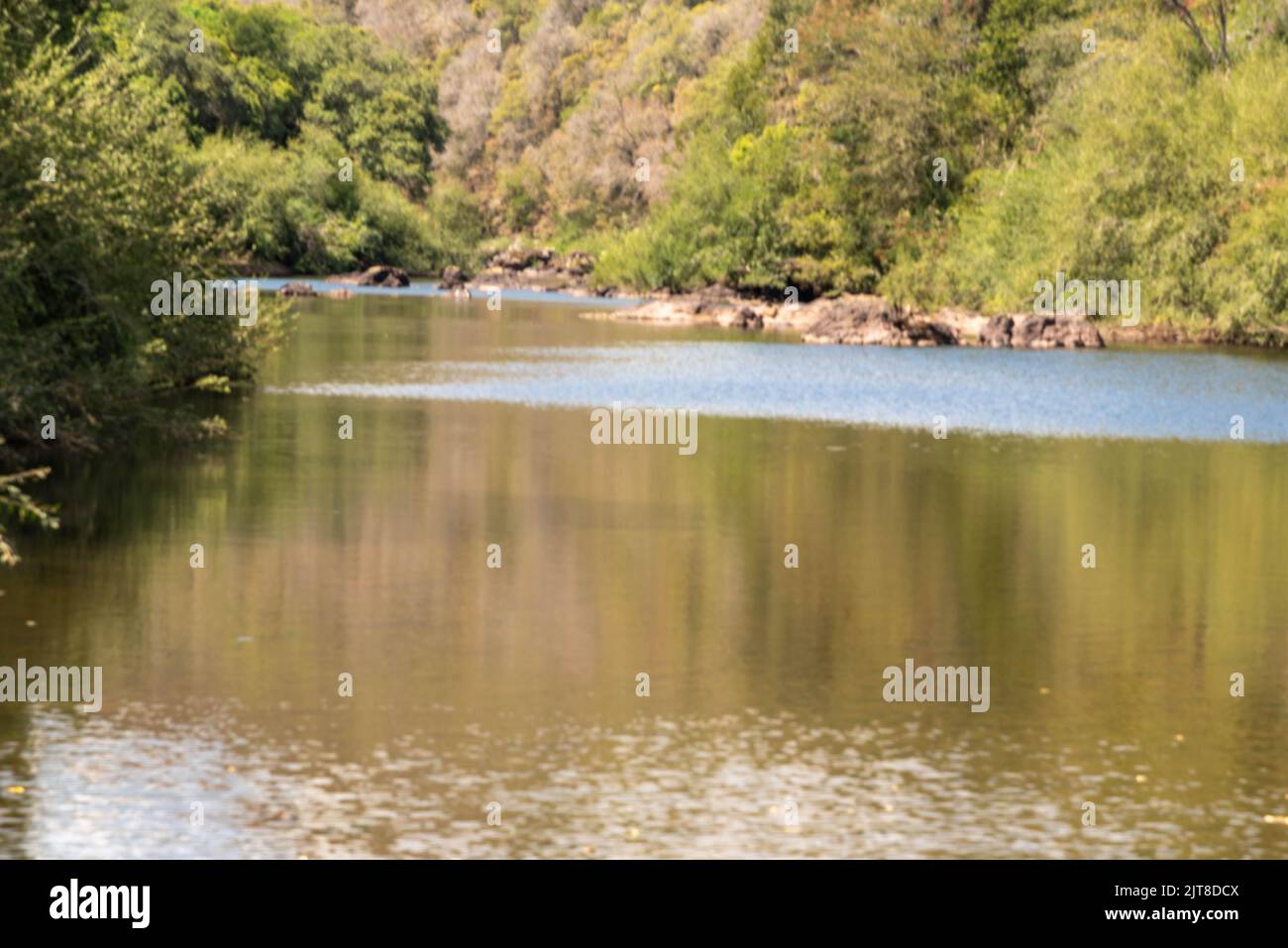 Rural landscape pampa biome in southern Brazil. area of environmental ...