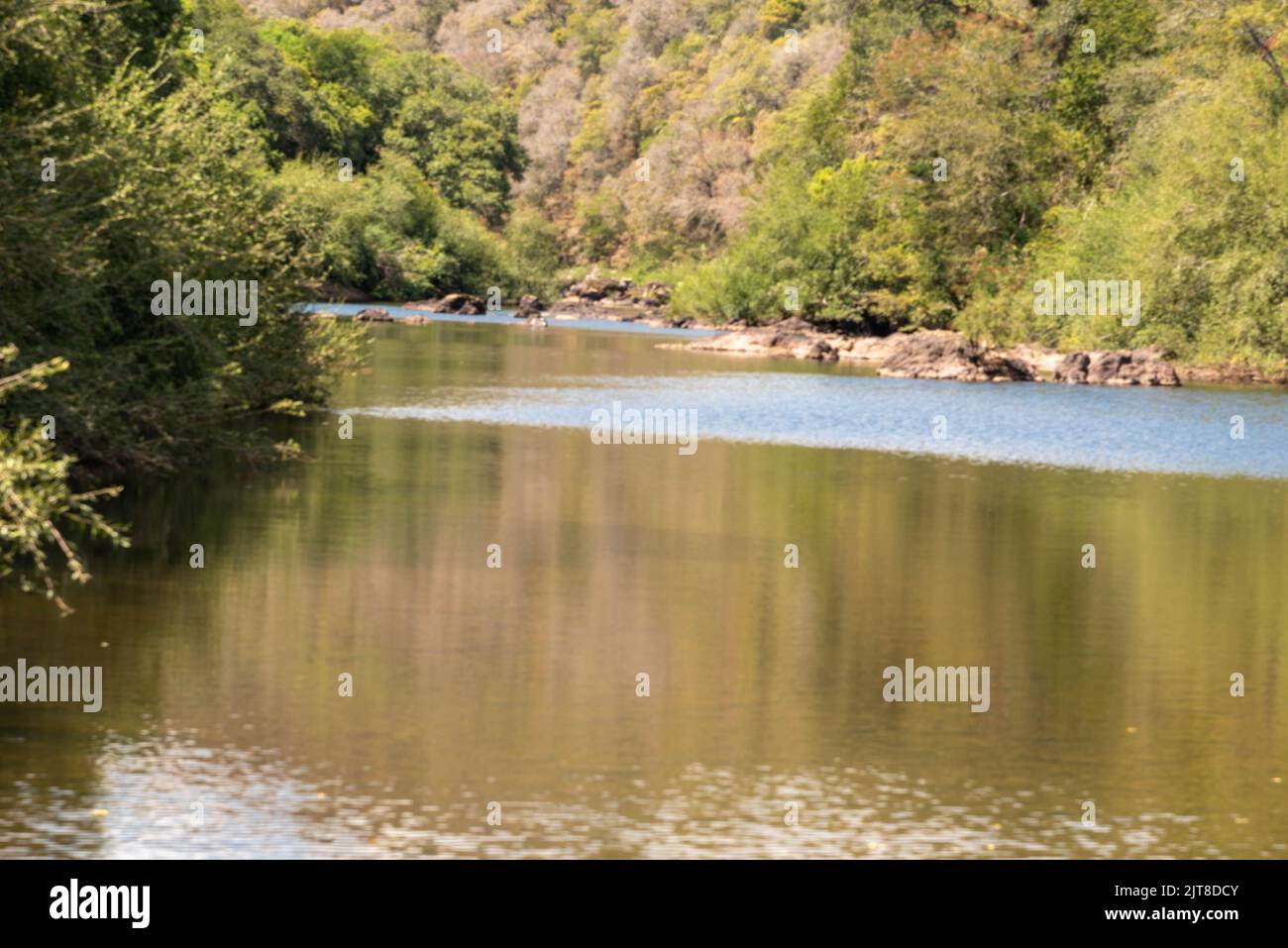 Rural landscape pampa biome in southern Brazil. area of environmental ...