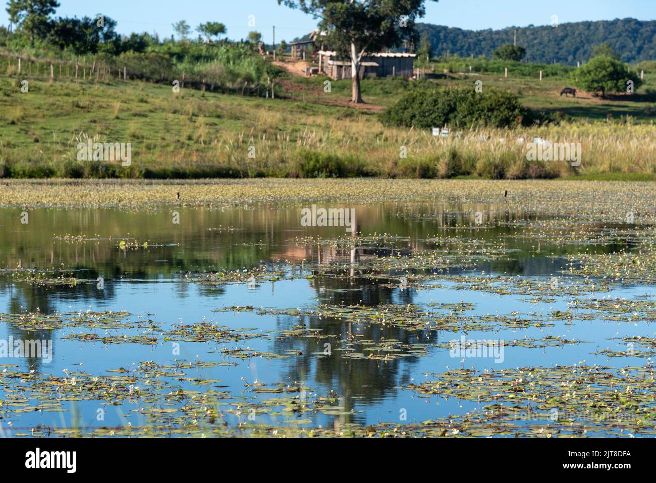 small weir and the water mirror. Fresh water reservoir. rural landscape ...
