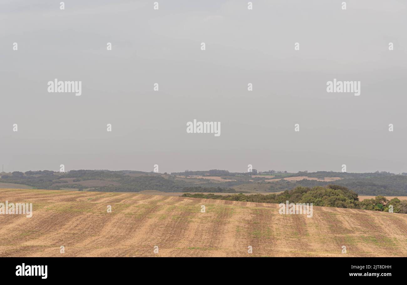 Soybean sowing fields. Crop rotation. grain production area. Farmer. No ...
