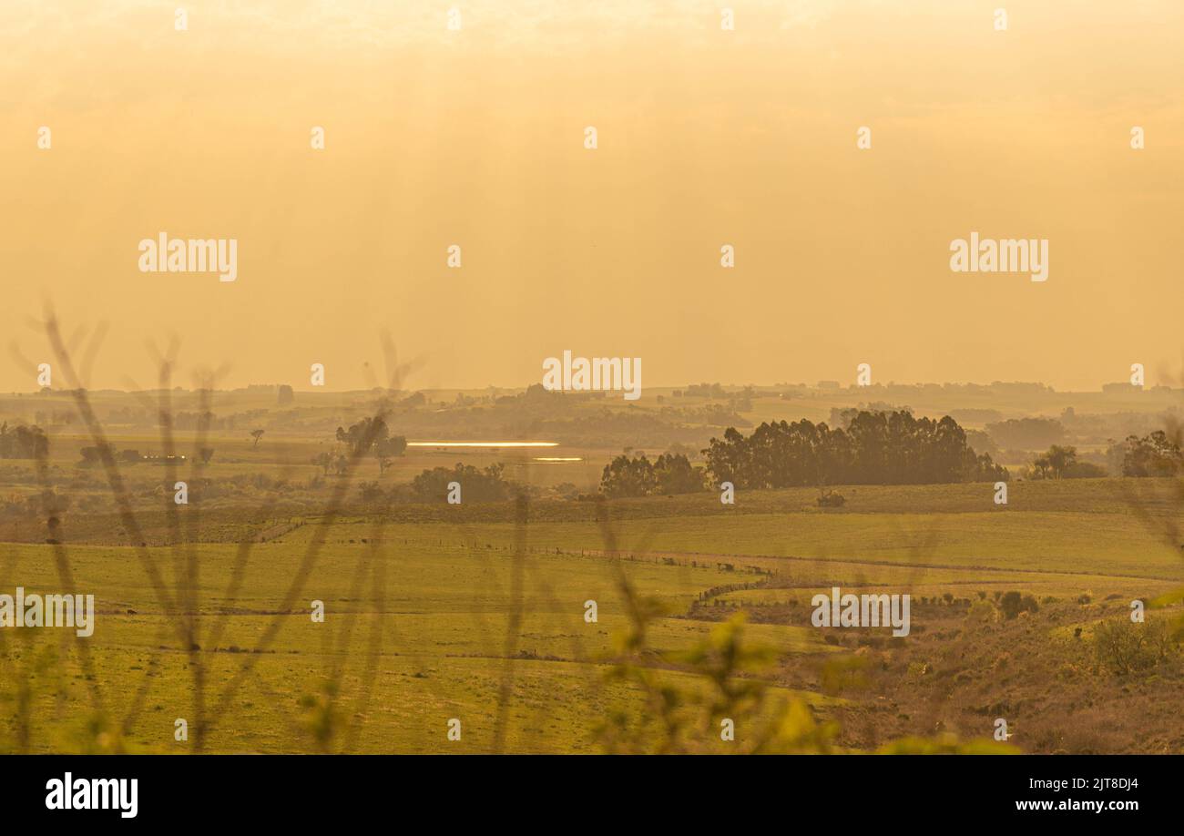 Dawn in the fields of the pampa biome in southern Brazil. Temperate ...