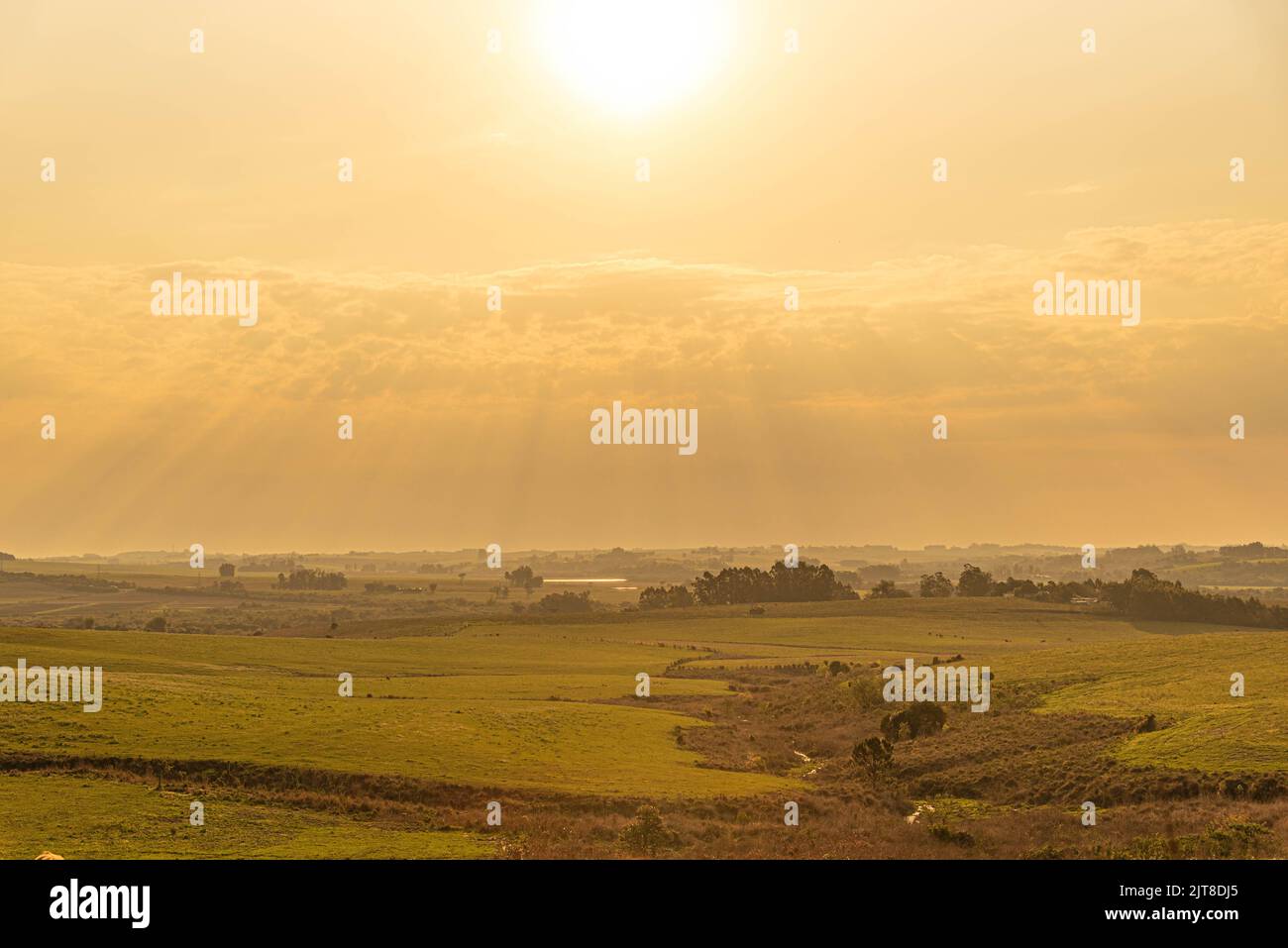 Dawn in the fields of the pampa biome in southern Brazil. Temperate ...