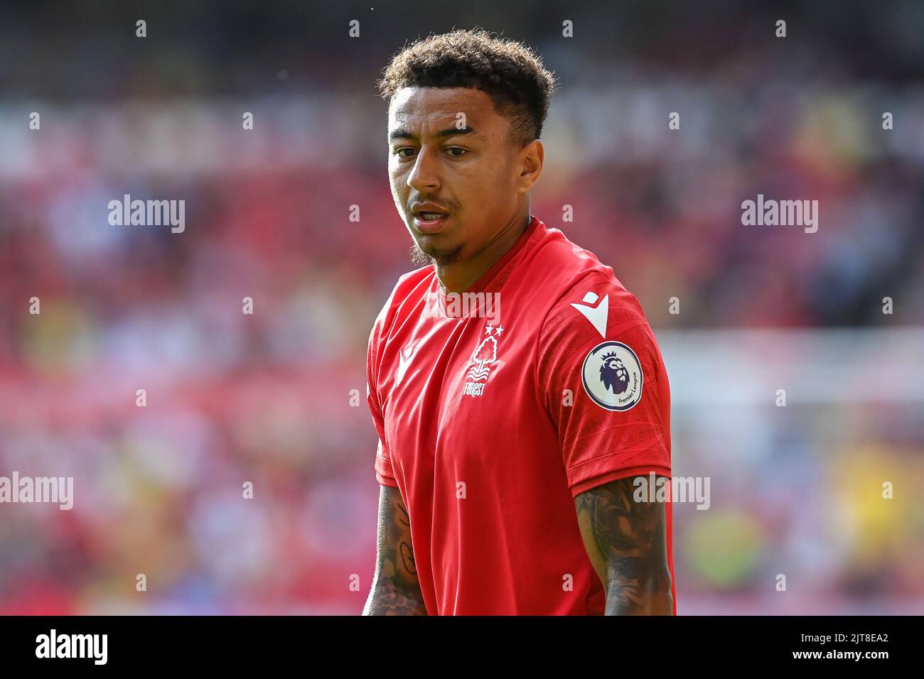 Jesse lingard portrait hi-res stock photography and images - Alamy