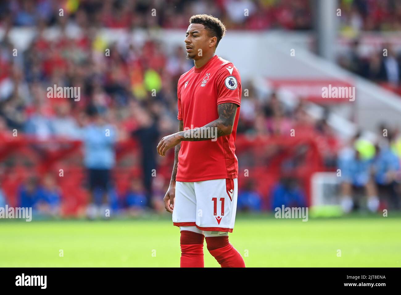 Jesse lingard portrait hi-res stock photography and images - Alamy