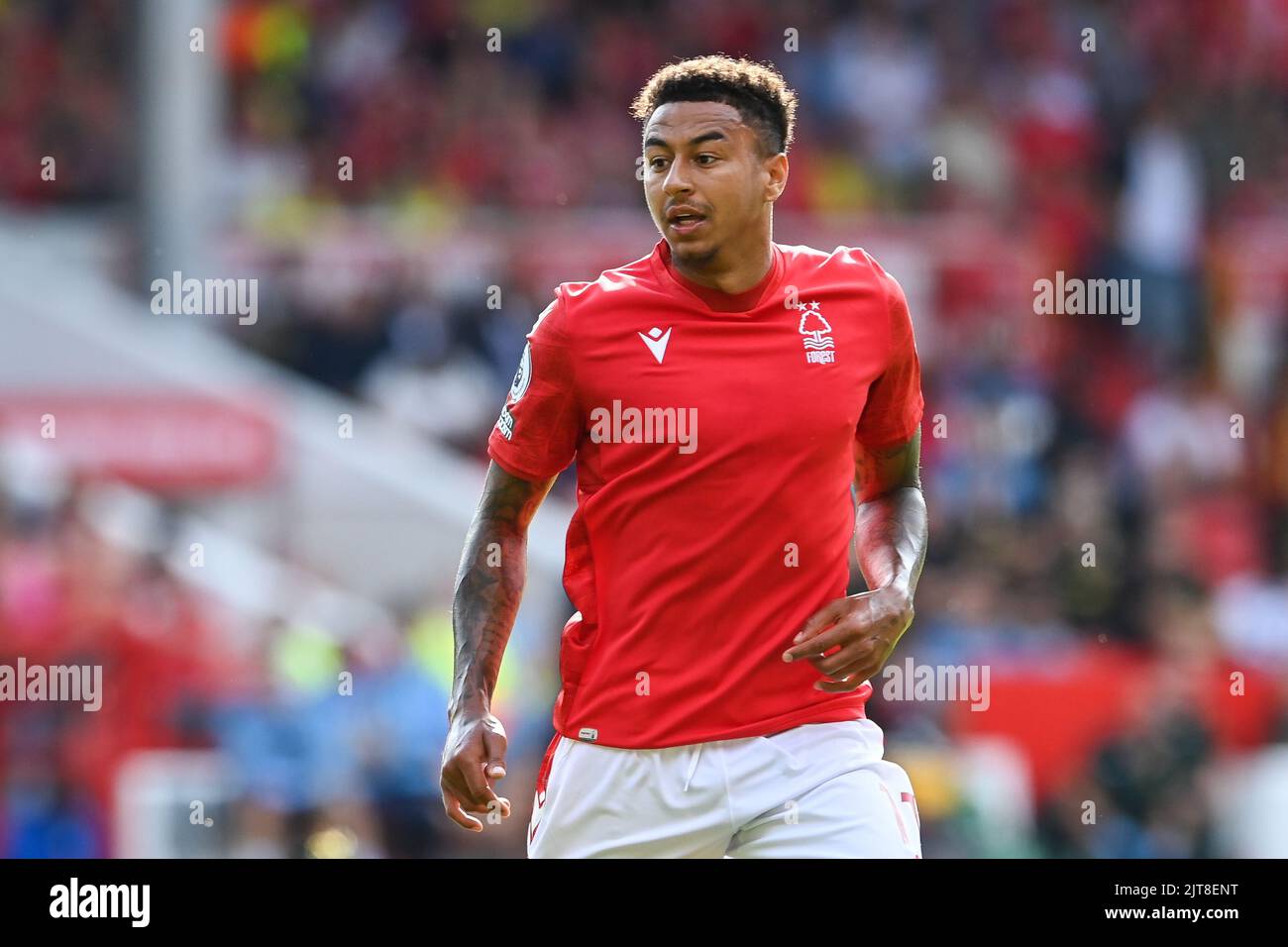 Jesse lingard portrait hi-res stock photography and images - Alamy