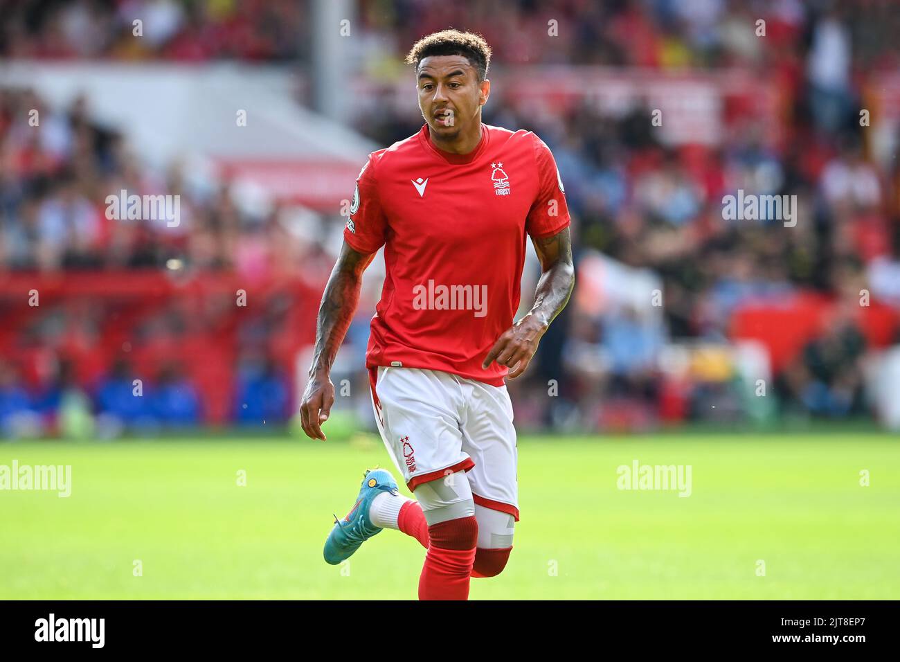 Jesse lingard portrait hi-res stock photography and images - Alamy