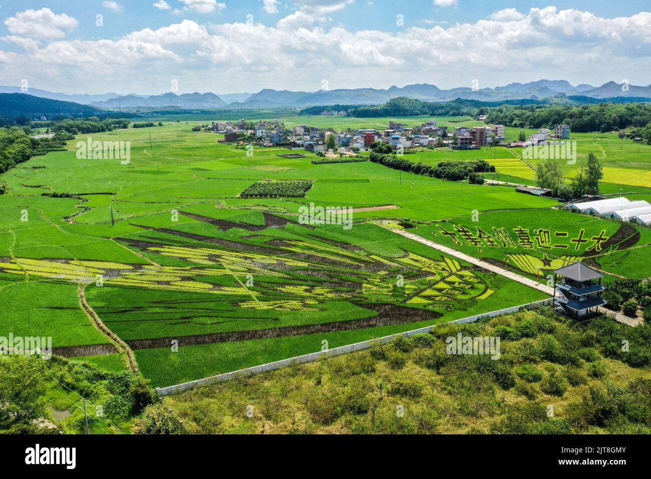 GUILIN, CHINA- AUGUST 28, 2022 - A giant creative rice art painting ...