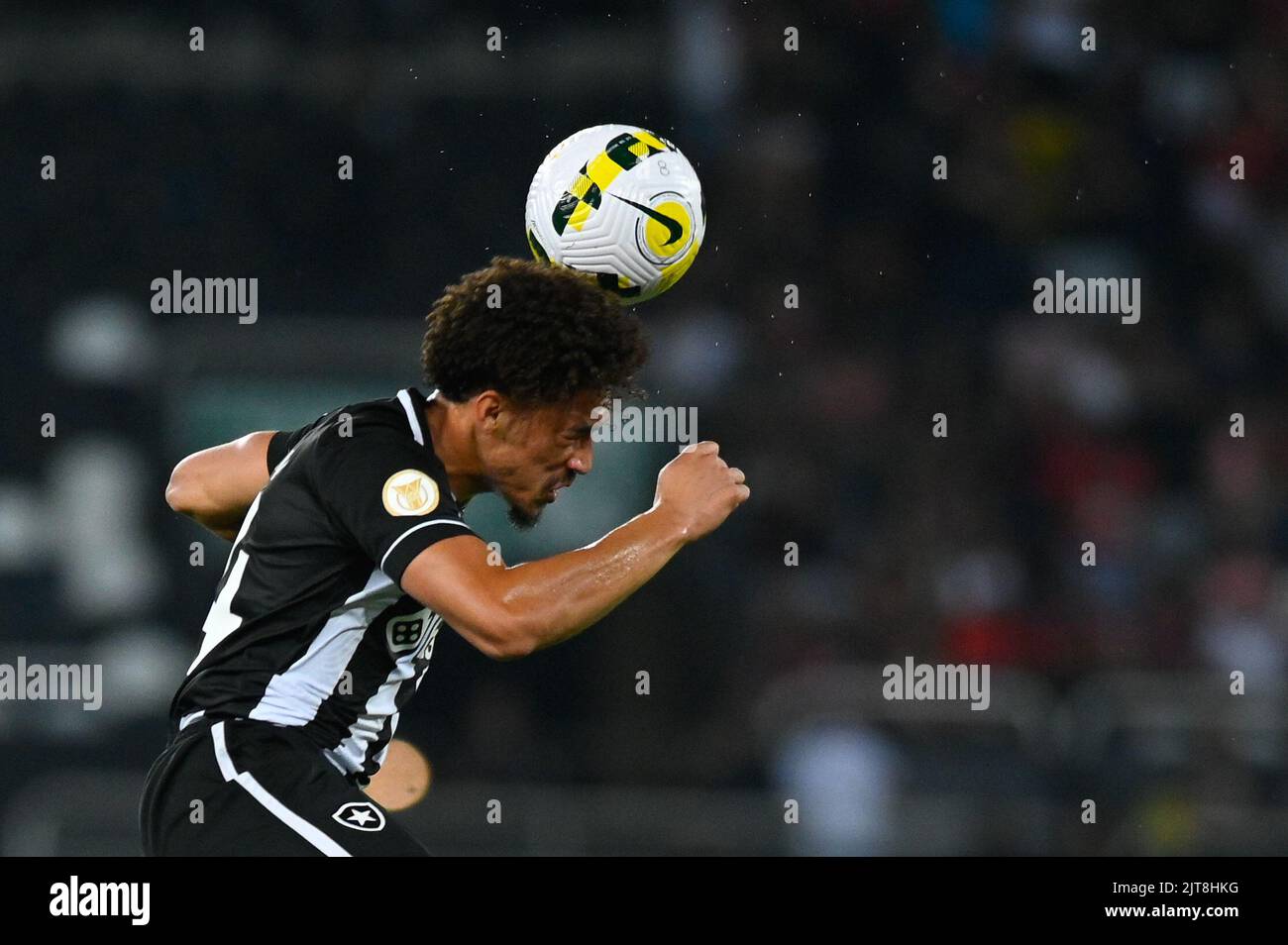 Stadium nilton santos hi-res stock photography and images - Alamy