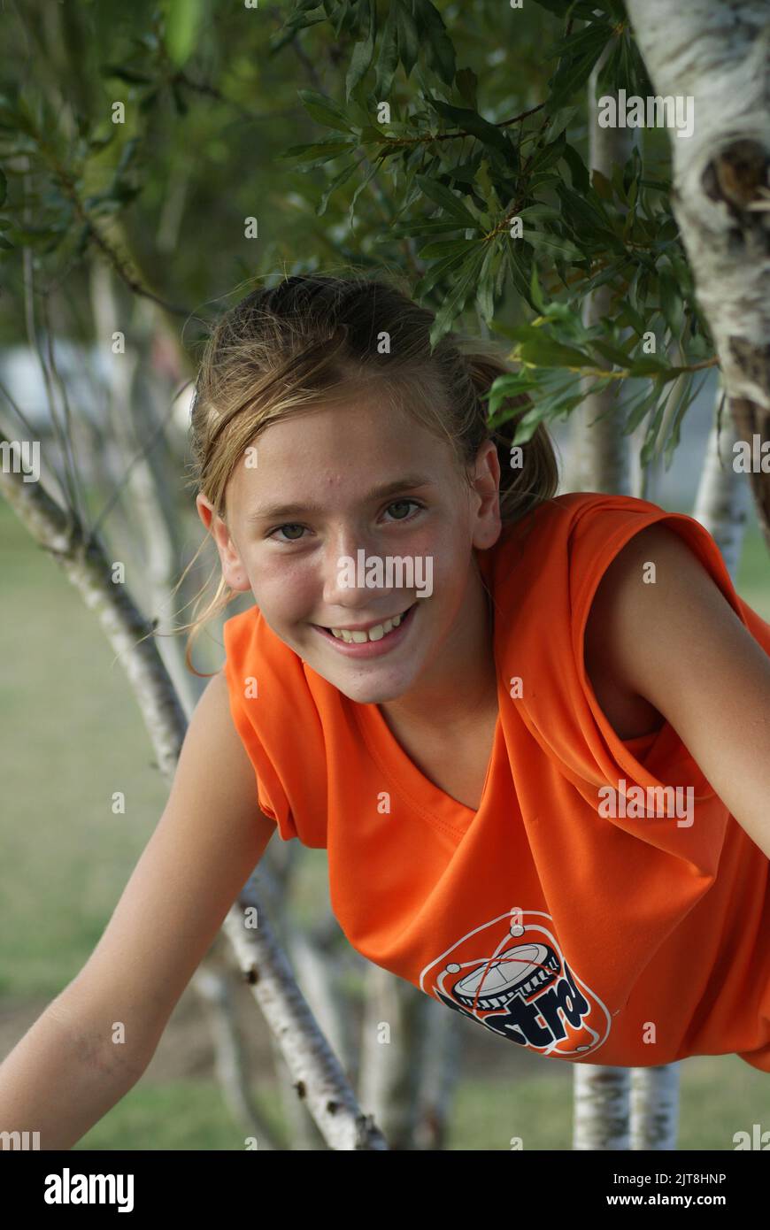 Astros hi-res stock photography and images - Alamy