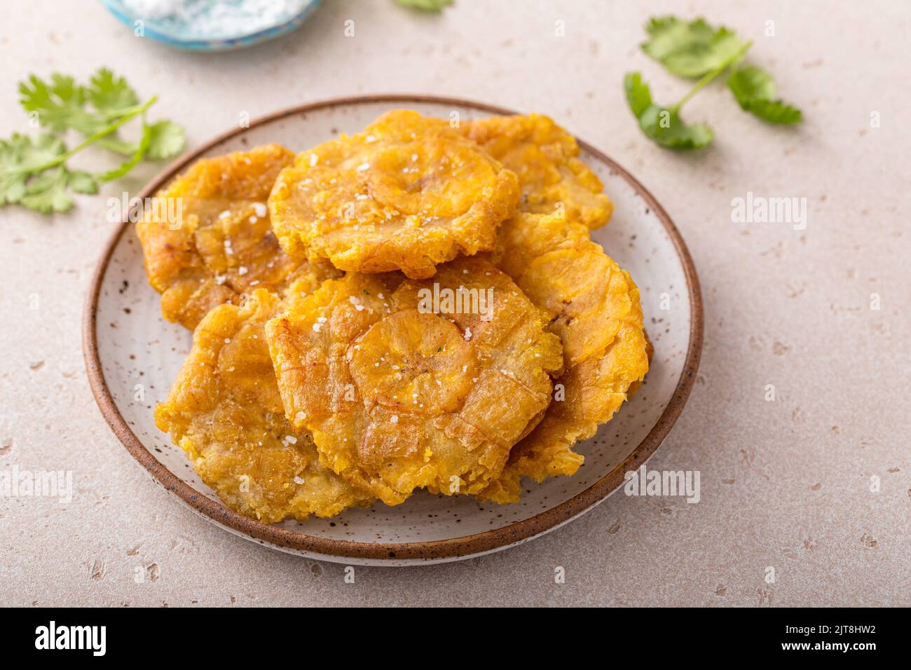 Tostones, traditional Carribean dish, twice fried plantains Stock Photo ...