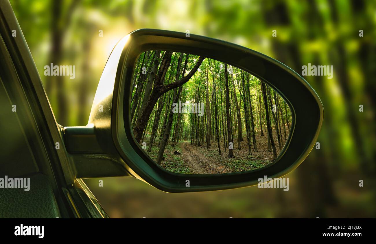 The reflection of the forest in the mirror of an expensive car ...