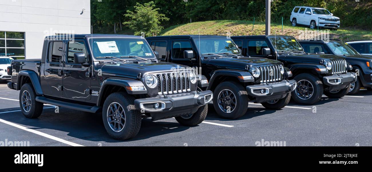 Three Jeep Gladiator SUVs lined up for sale at a dealership on a sunny ...