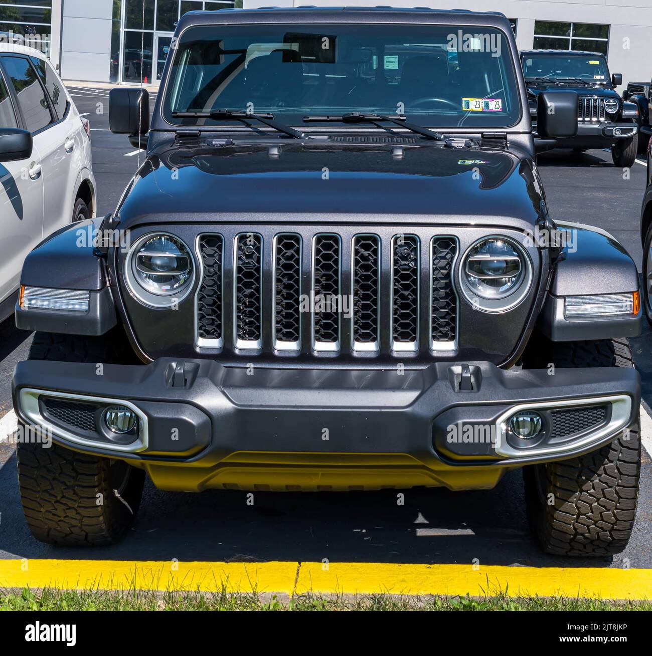 Professional wrangler hi-res stock photography and images - Alamy