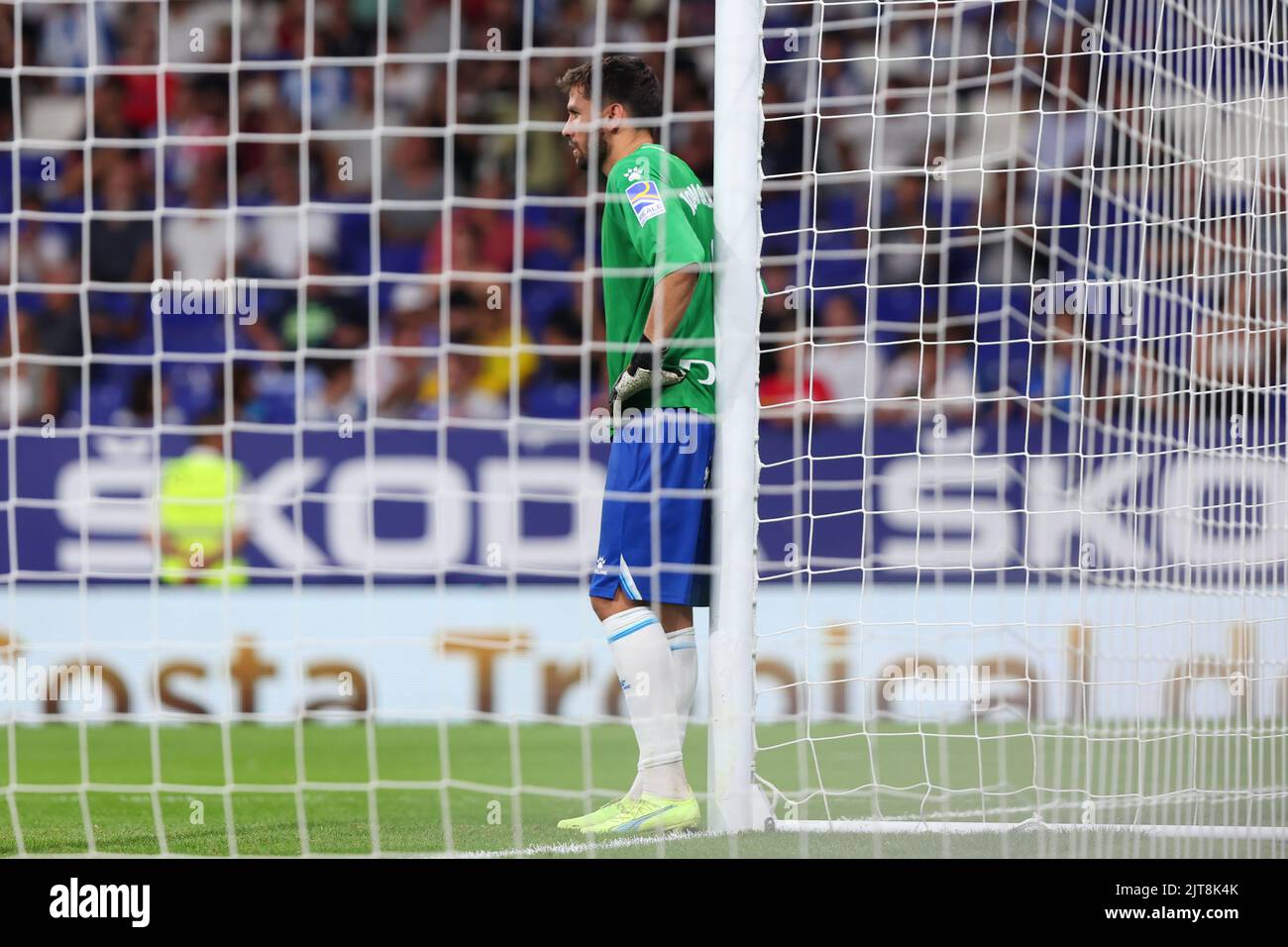 Goalkeeper images hi-res stock photography and images - Alamy