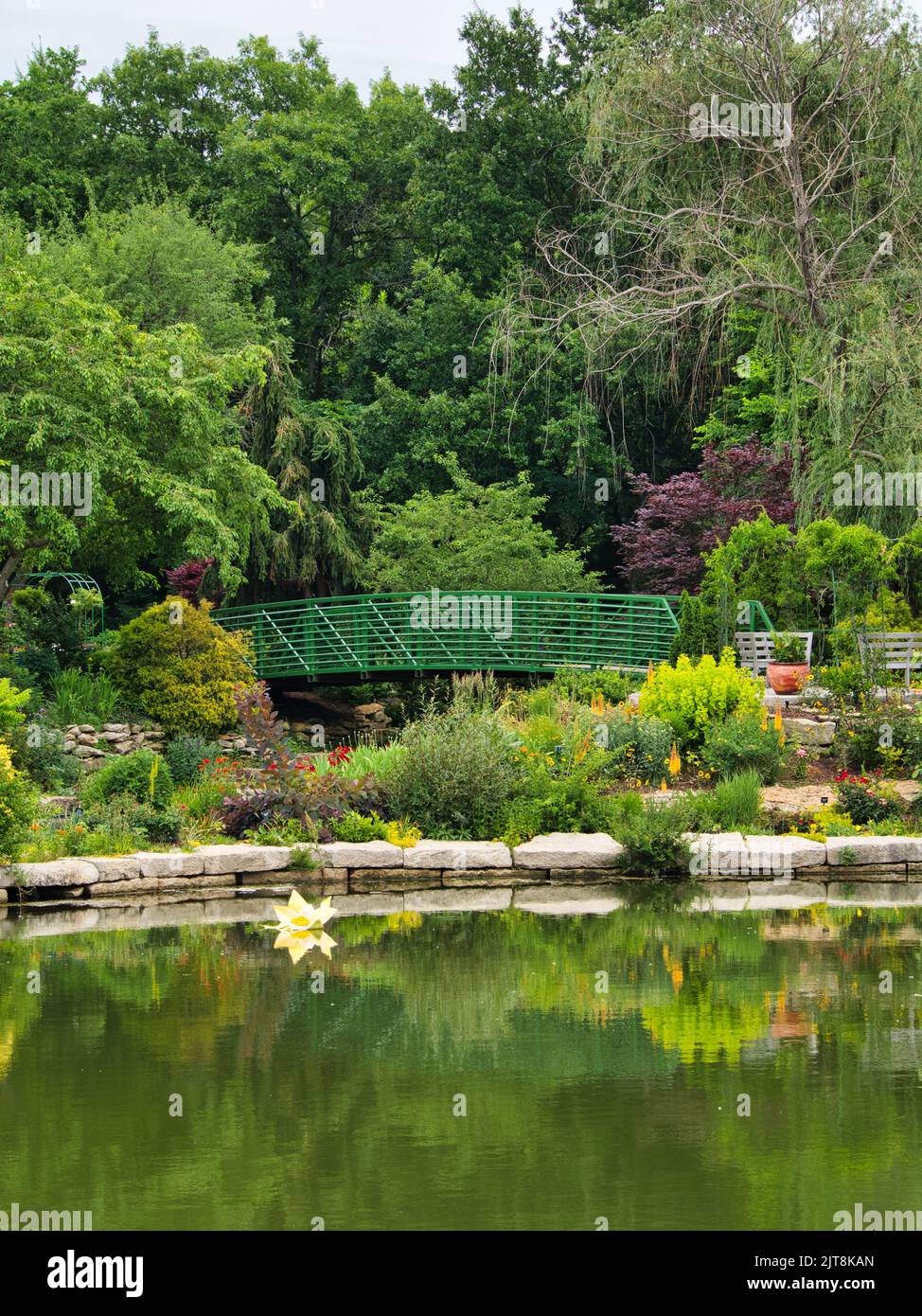 A beautiful scenery of a river with trees and bridge in between in ...