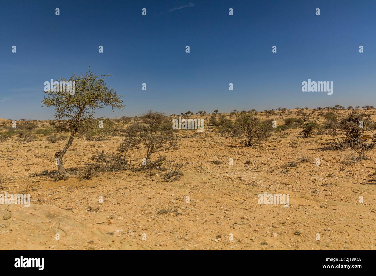 Arid landscape of central Somaliland Stock Photo - Alamy