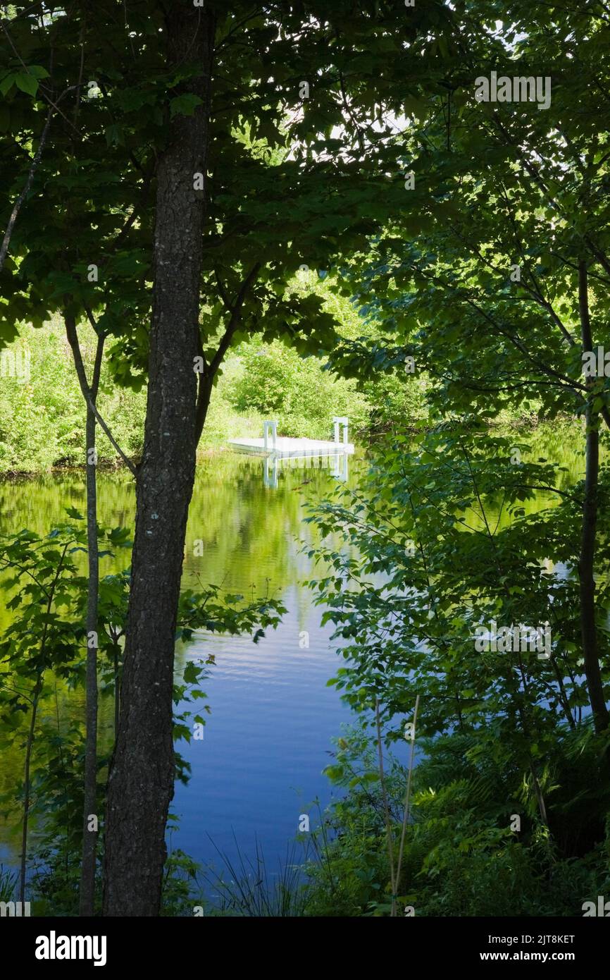 View of white painted dock on lake through trees in spring Stock Photo ...