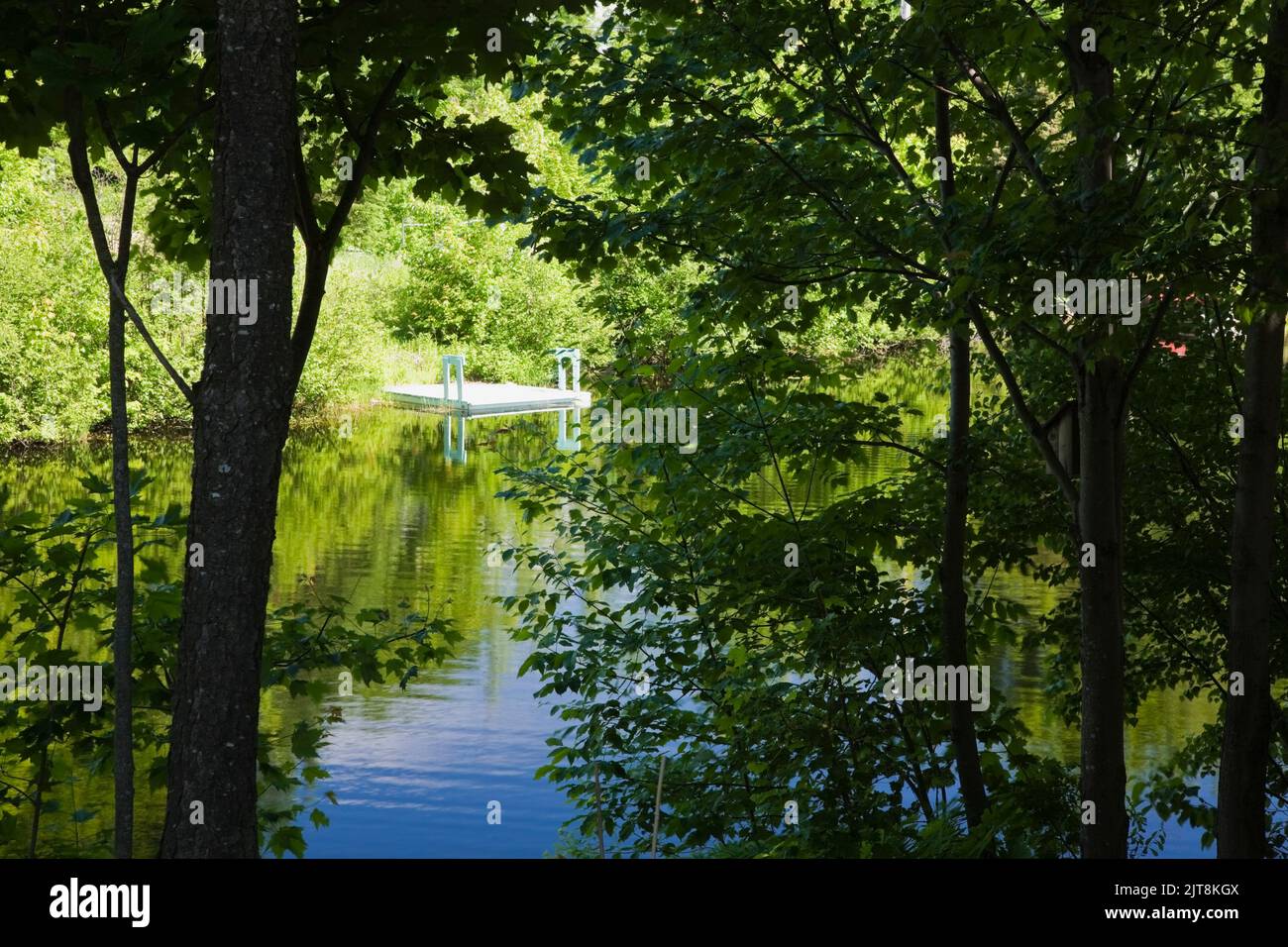 View of white painted dock on lake through trees in spring Stock Photo ...