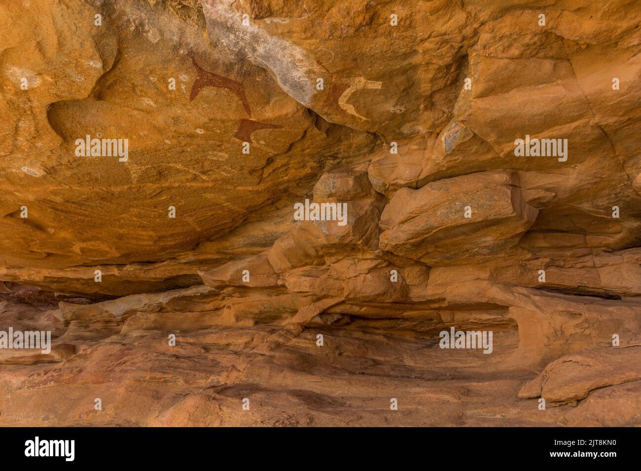 Geel laas hi-res stock photography and images - Alamy