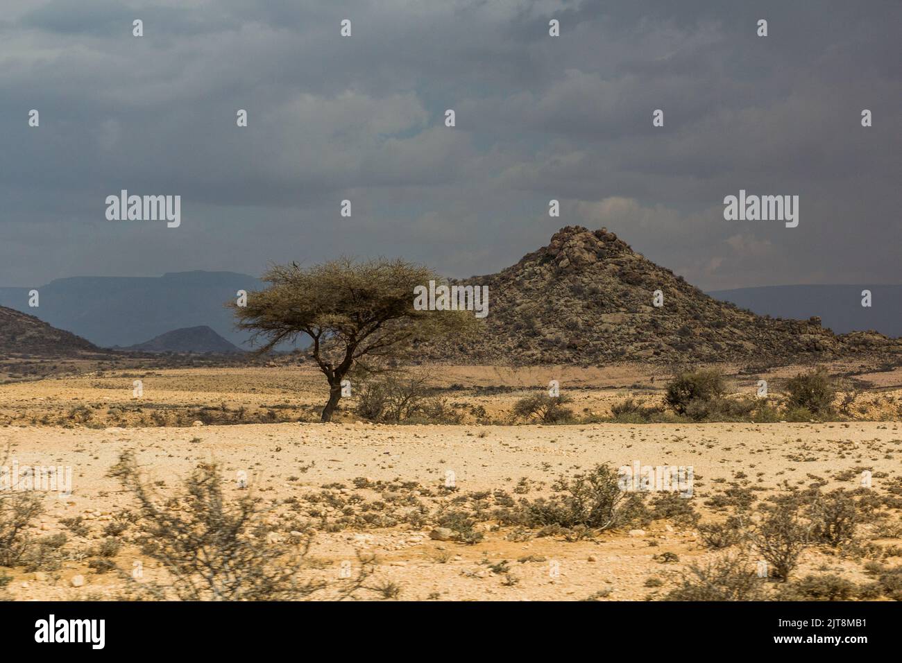 Somaliland landscape hi-res stock photography and images - Alamy