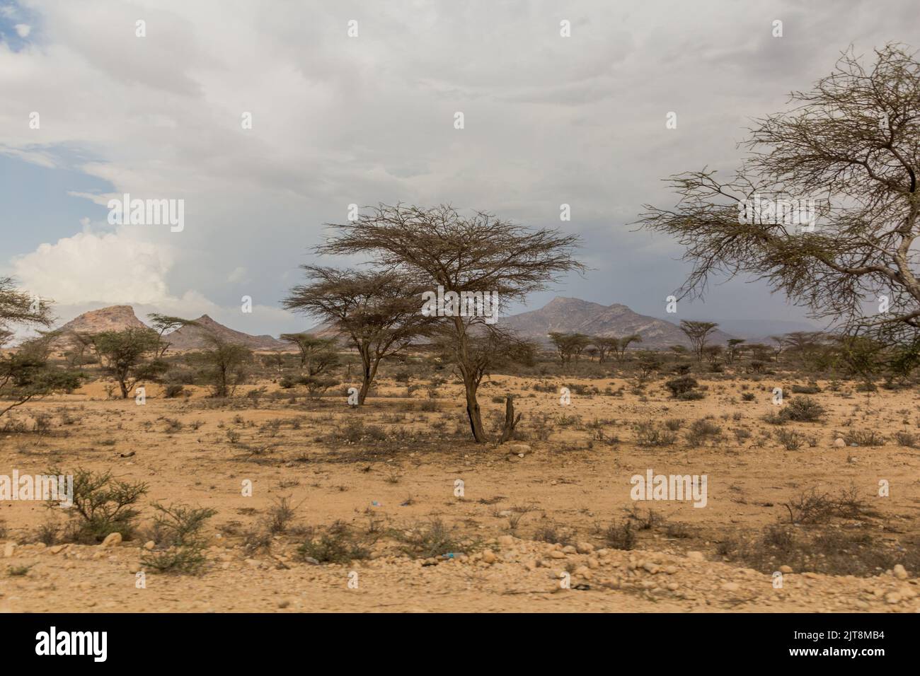 Somaliland landscape hi-res stock photography and images - Alamy