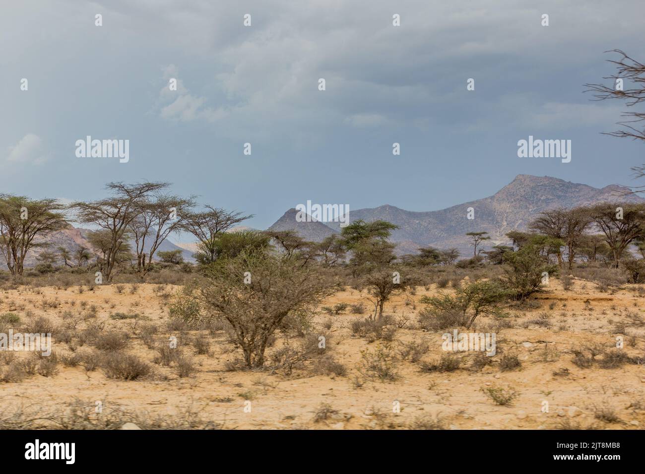 View of a landscape of Somaliland Stock Photo - Alamy