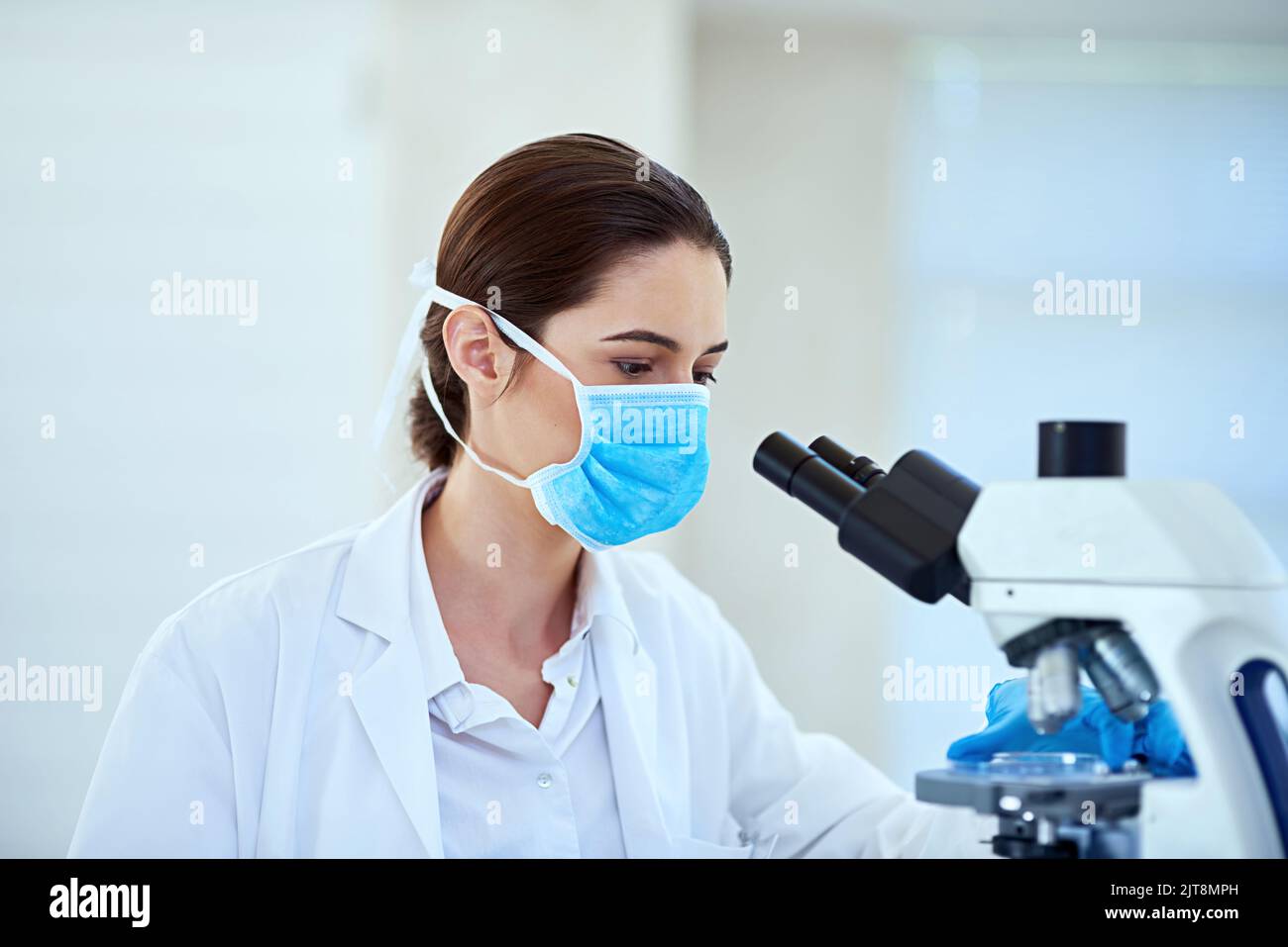 Lab study hi-res stock photography and images - Alamy