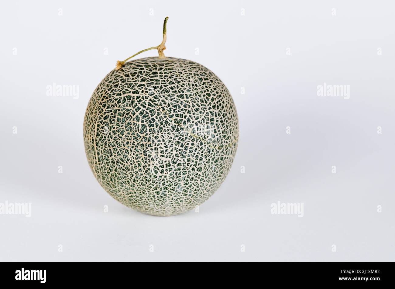 Single Cantaloupe melon on a white background Stock Photo - Alamy