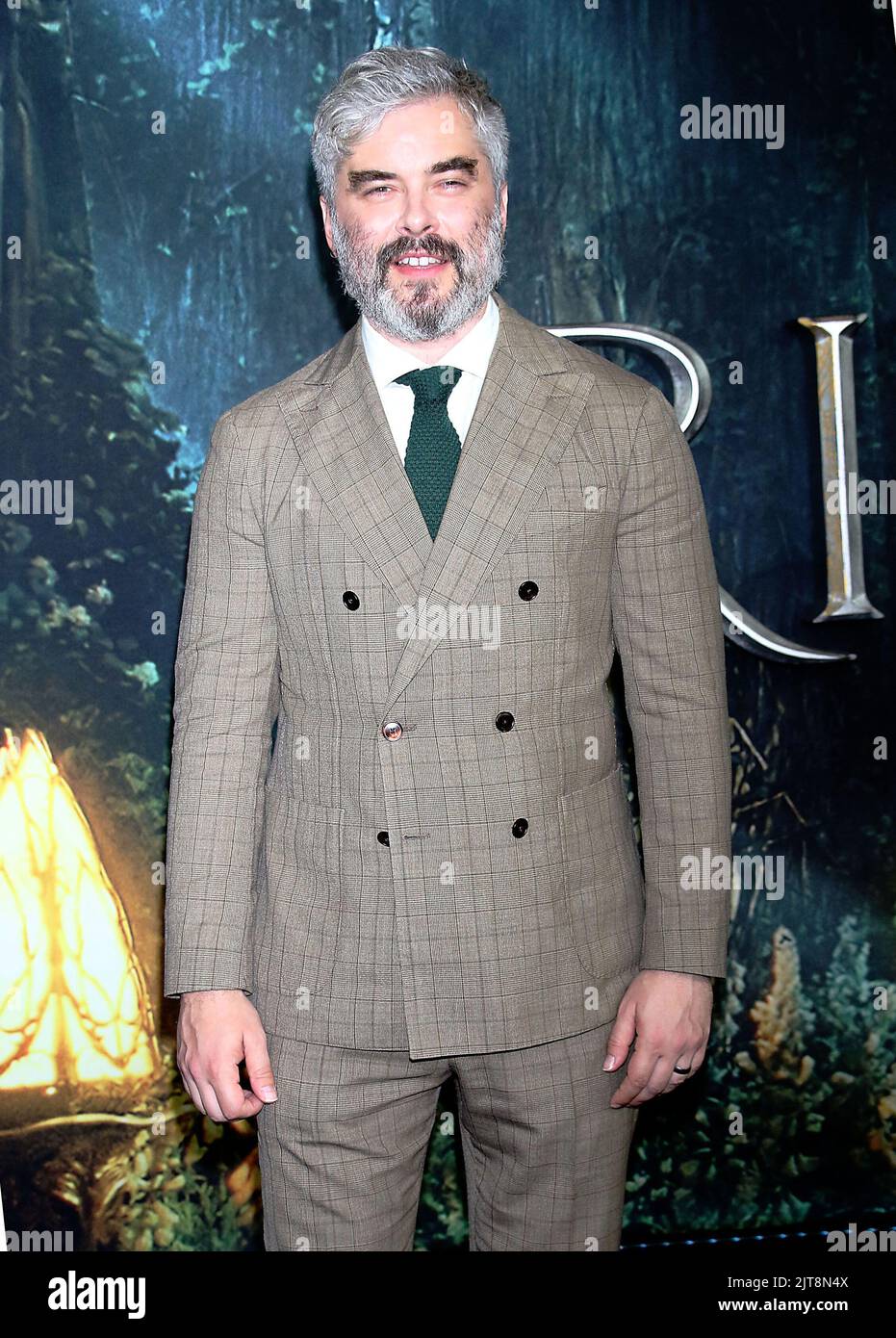 Amazon Studios Original Series The Lord of the Rings: The Rings of ...