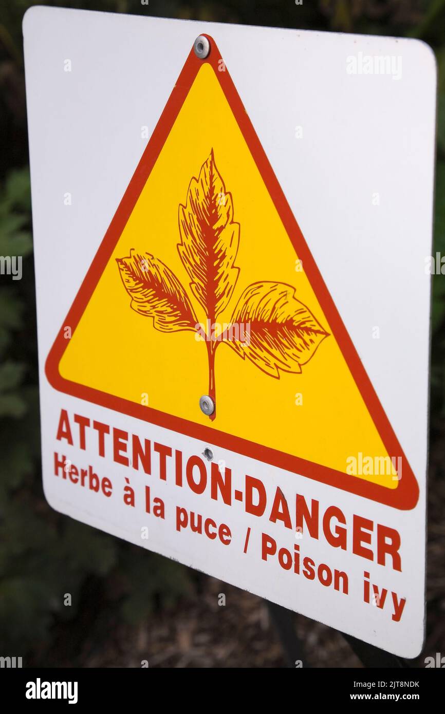 Close-up of Danger Poison Ivy pictogram sign Stock Photo - Alamy
