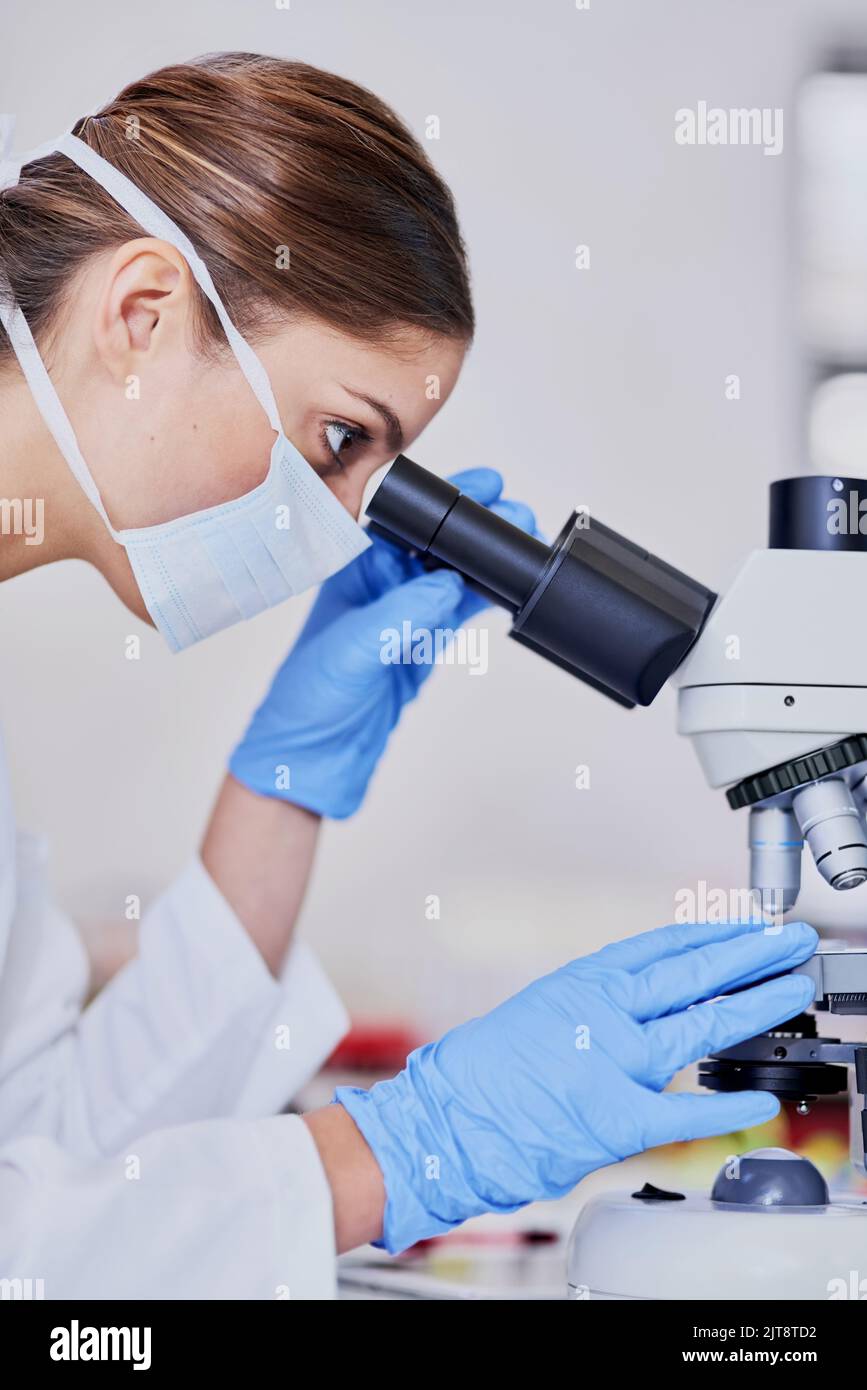 Getting up close with microbes. a scientist using a microscope while ...