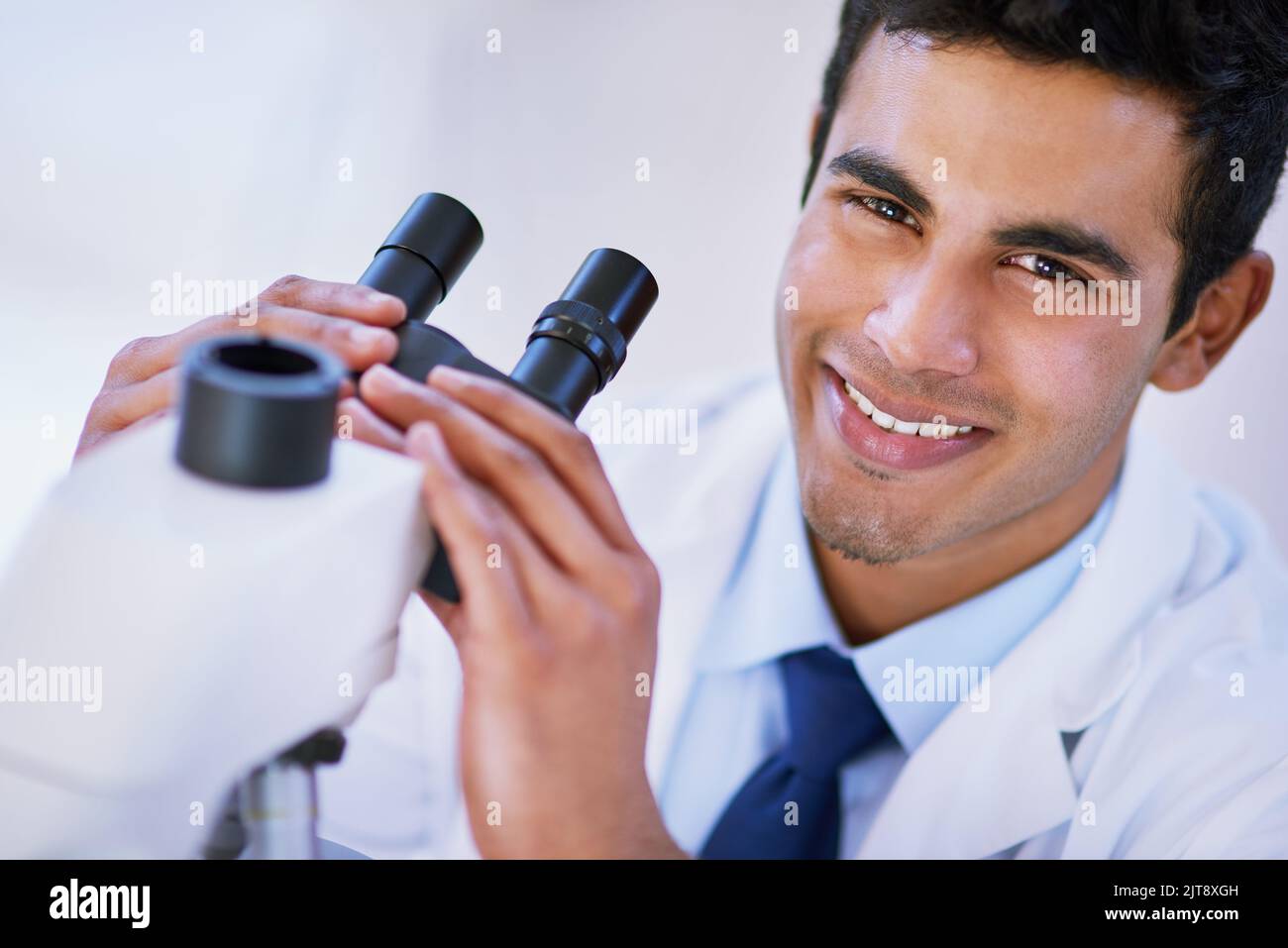 Just the results I was looking for. Portrait of a smiling lab ...