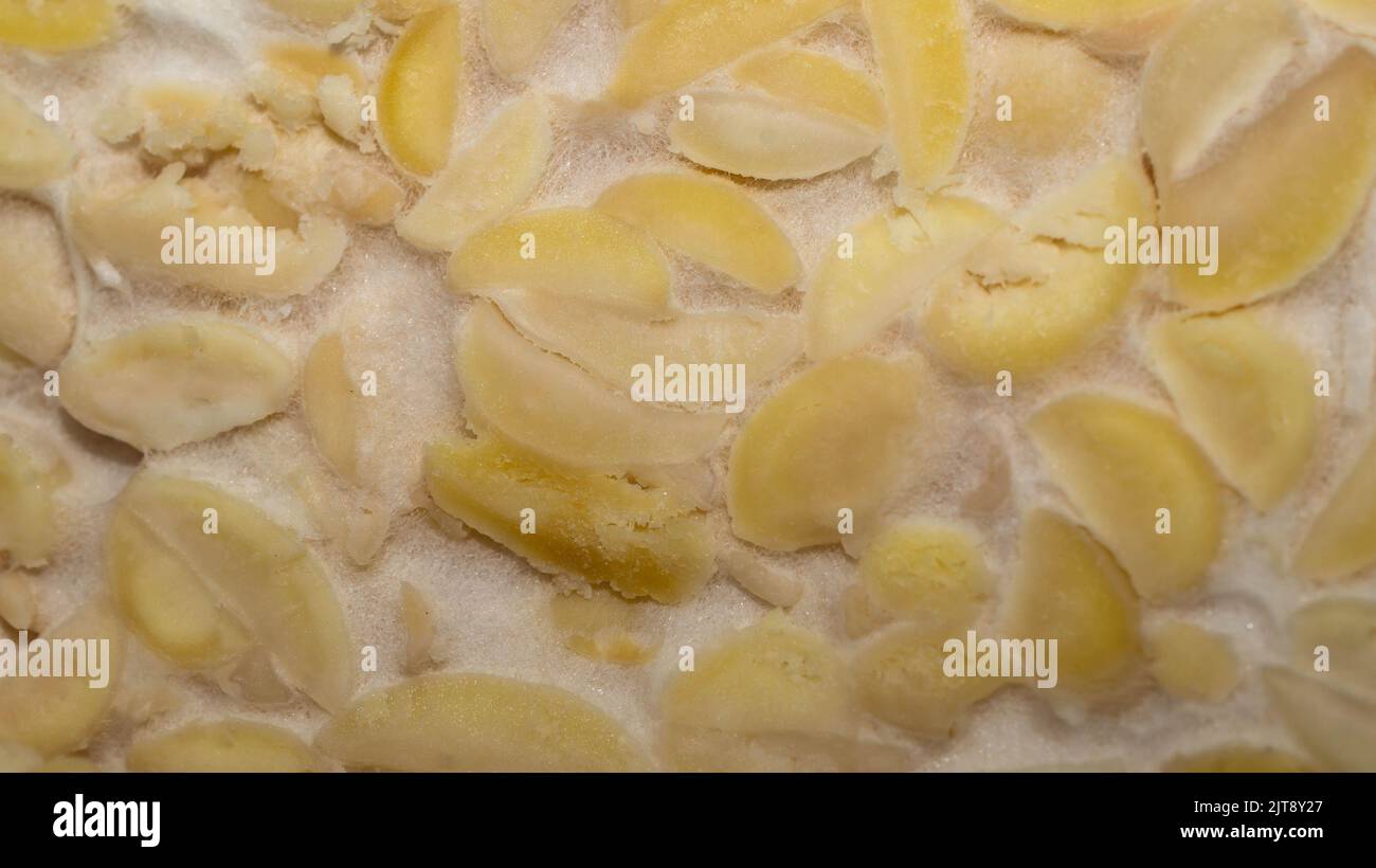 Raw slices of Tempeh, typical Indonesian food fermented made from ...