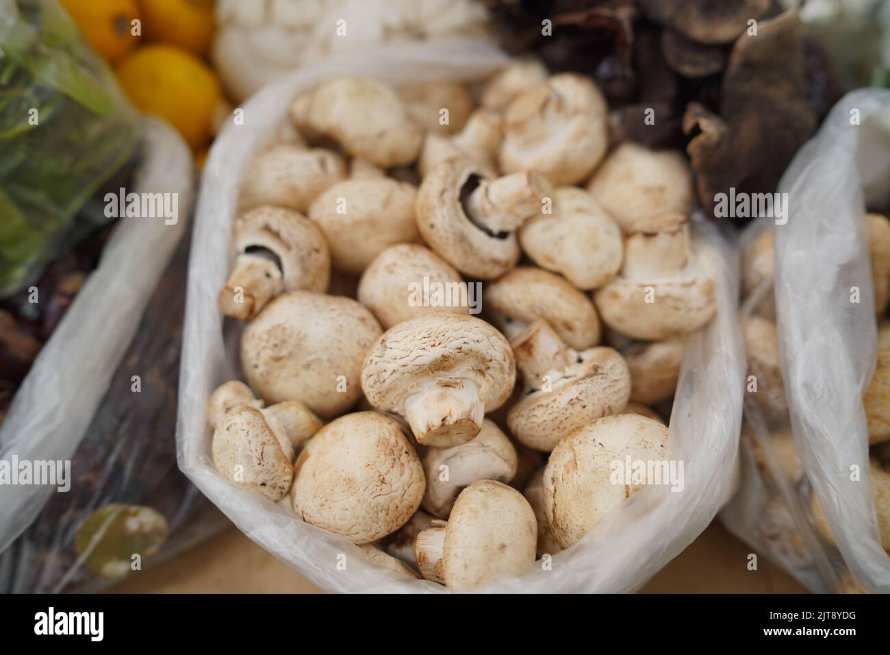 Jamur kancing hi-res stock photography and images - Alamy