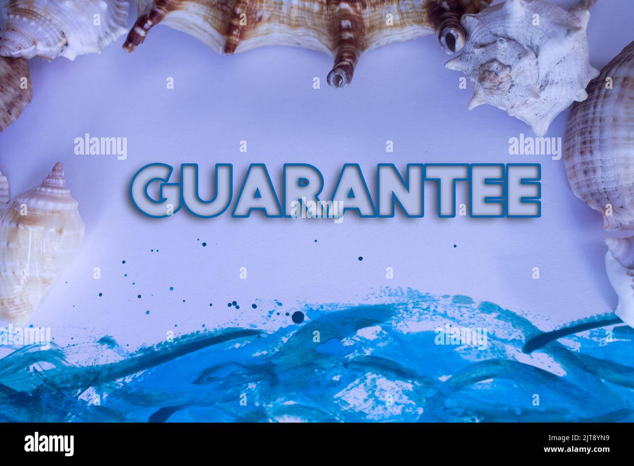Animal Shell, Summer vacation, marine background with Guarantee text ...